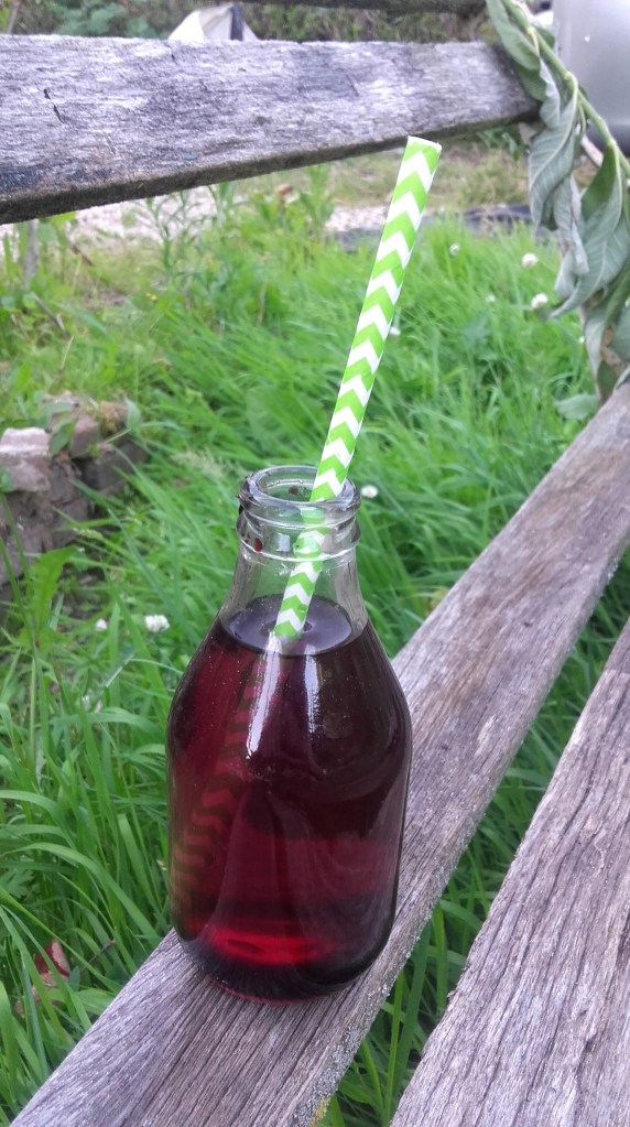 Sirop de coquelicot – Une abeille en cuisine